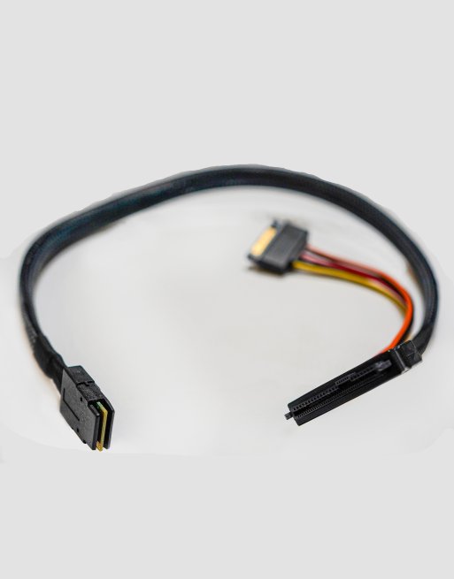 Riser cable U.2 NVMe SSD